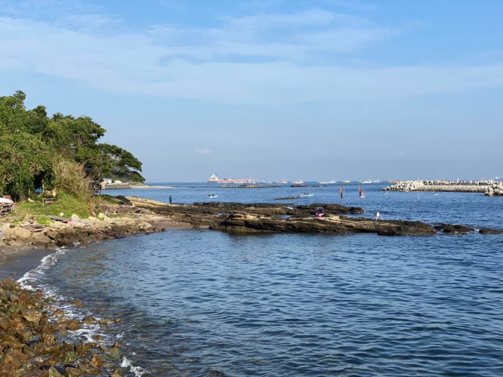 【神奈川県横須賀市】『観音崎京急ホテル付近』の海釣りガイド（釣れる魚・駐車場・トイレ）｜関東釣りwalker